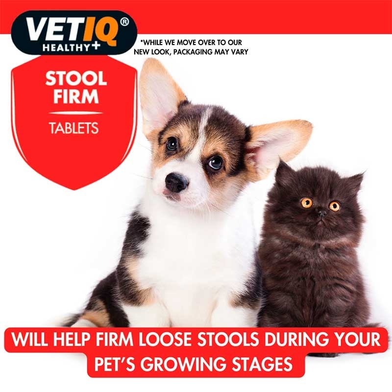 VetIQ Stool Firm Dogs & Puppies - Таблетки при расстройствах ...