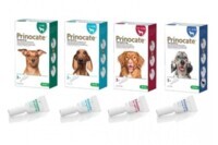 Купити KRKA (КРКА) Prinocate Dog - Протипаразитарні краплі Прінокат на ...